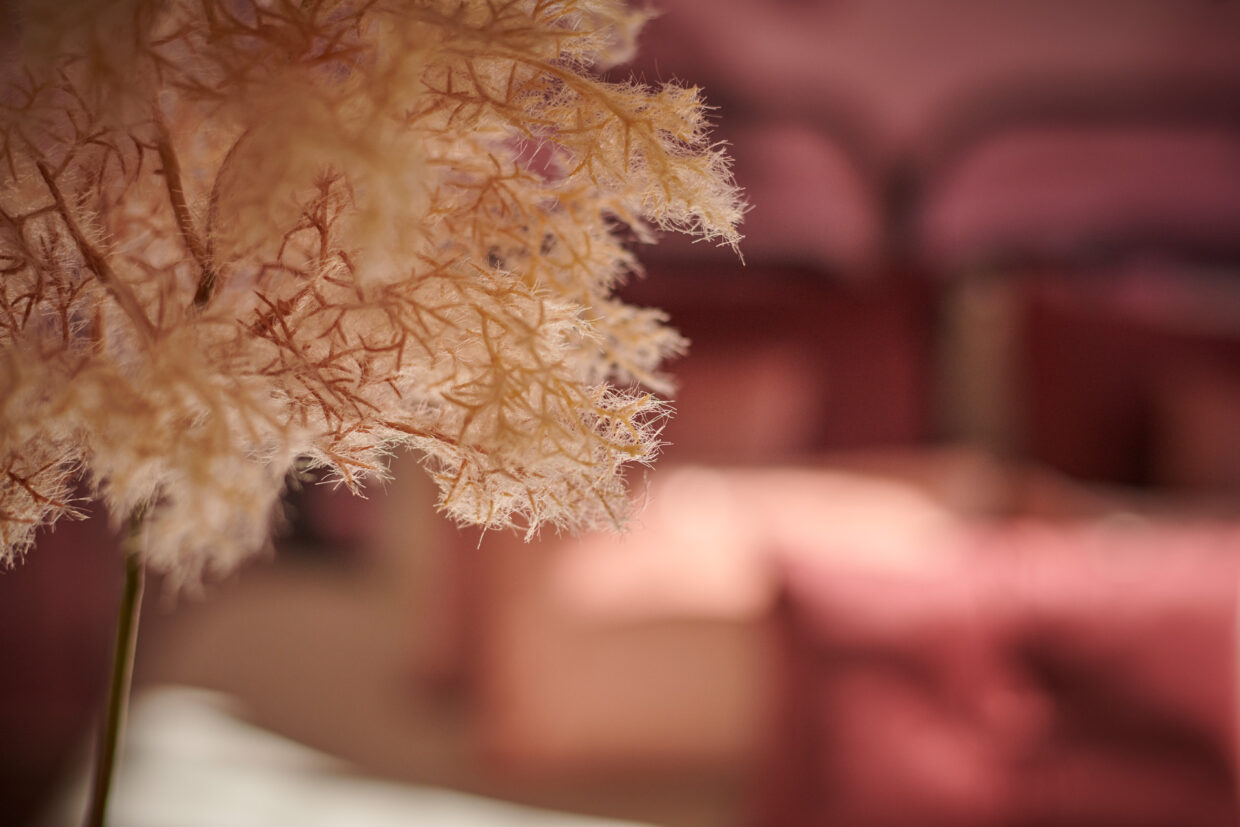 Flora - B&B Den Engel